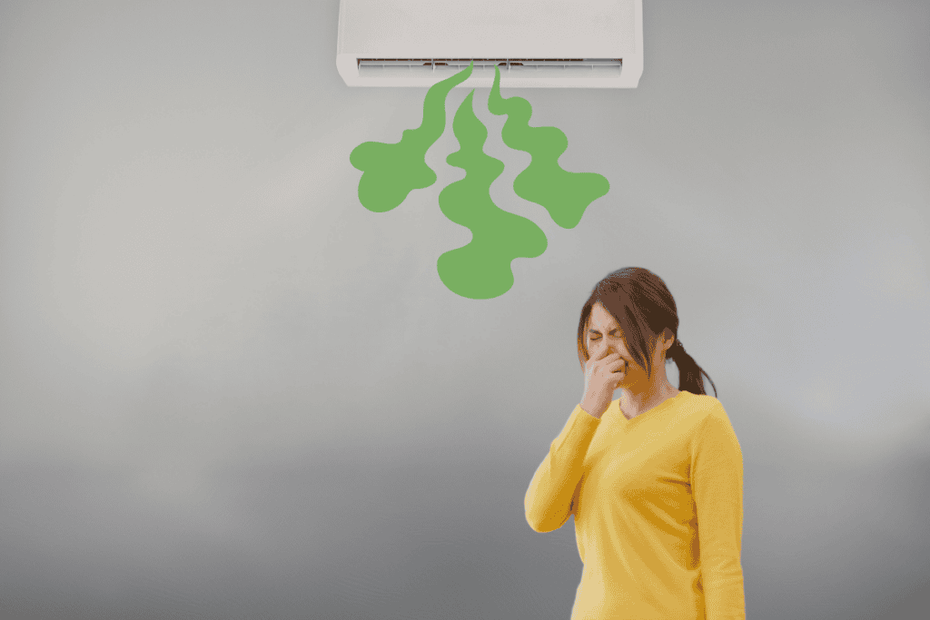 Sitemapcdatahttpsomobeldreferenzcommildew Smell From Air Conditioner
